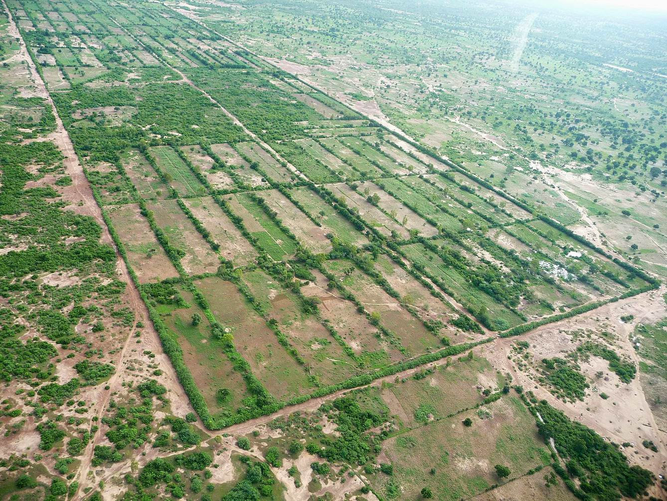 Le bocage sahélien, quesaco? | Coordination EAU Île-de-France